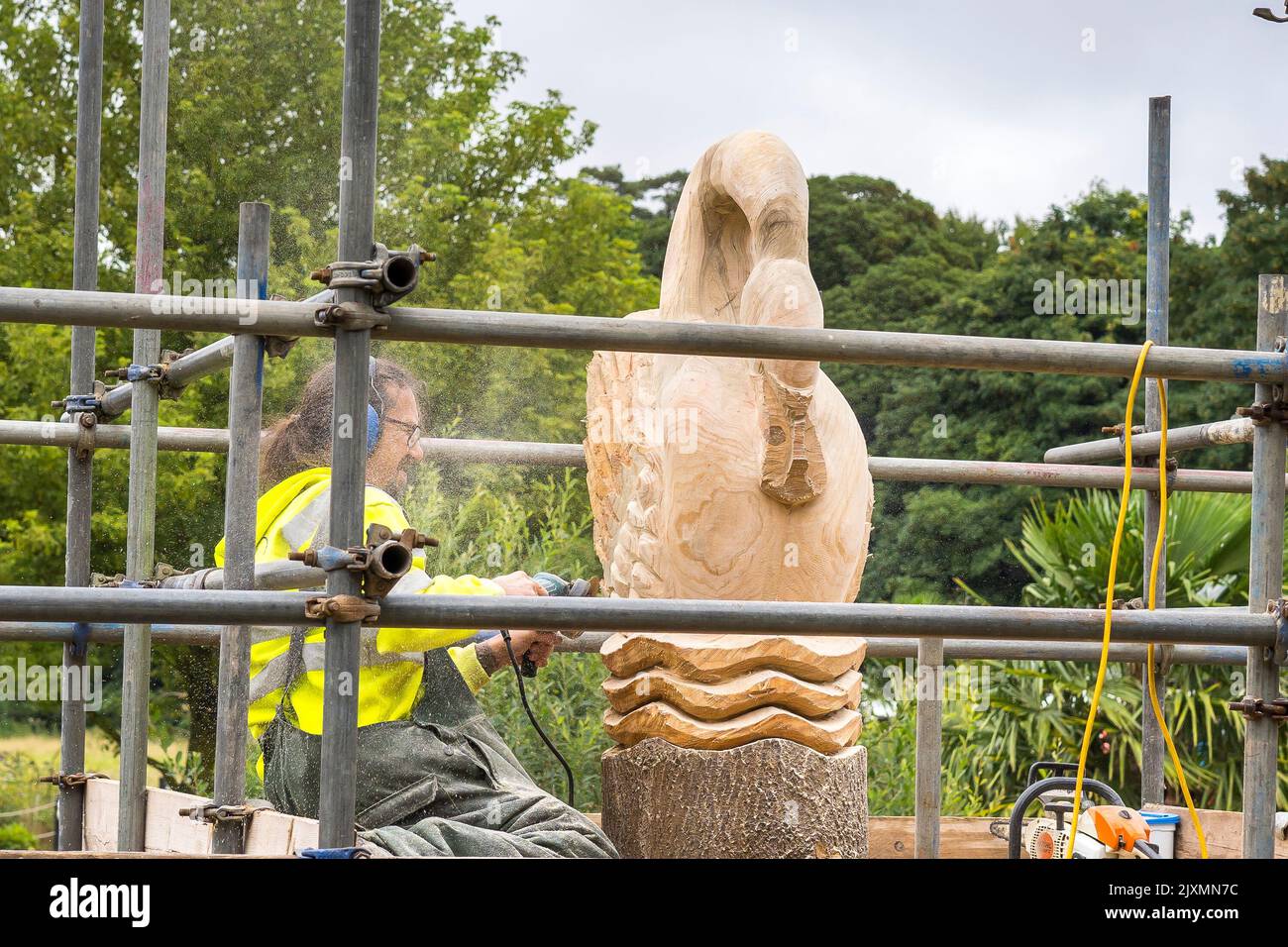 Swan carving by hand using a tree trunk on a public path. Power tools ...
