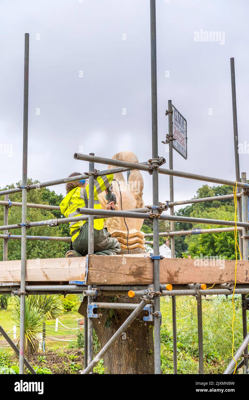 Swan carving by hand using a tree trunk on a public path. Power tools ...