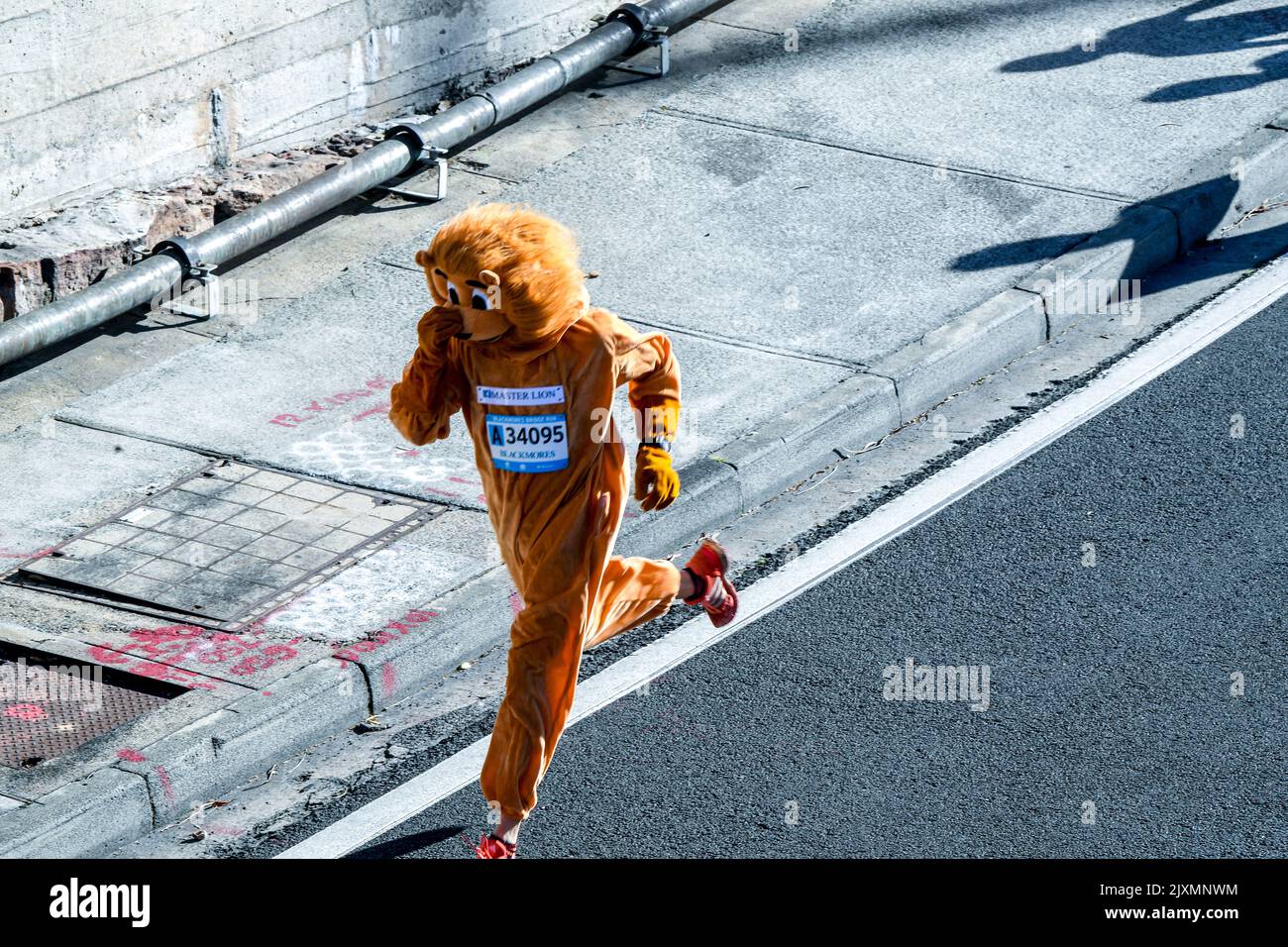 Runners are seen crossing the Sydney Harbour Bridge during the ...