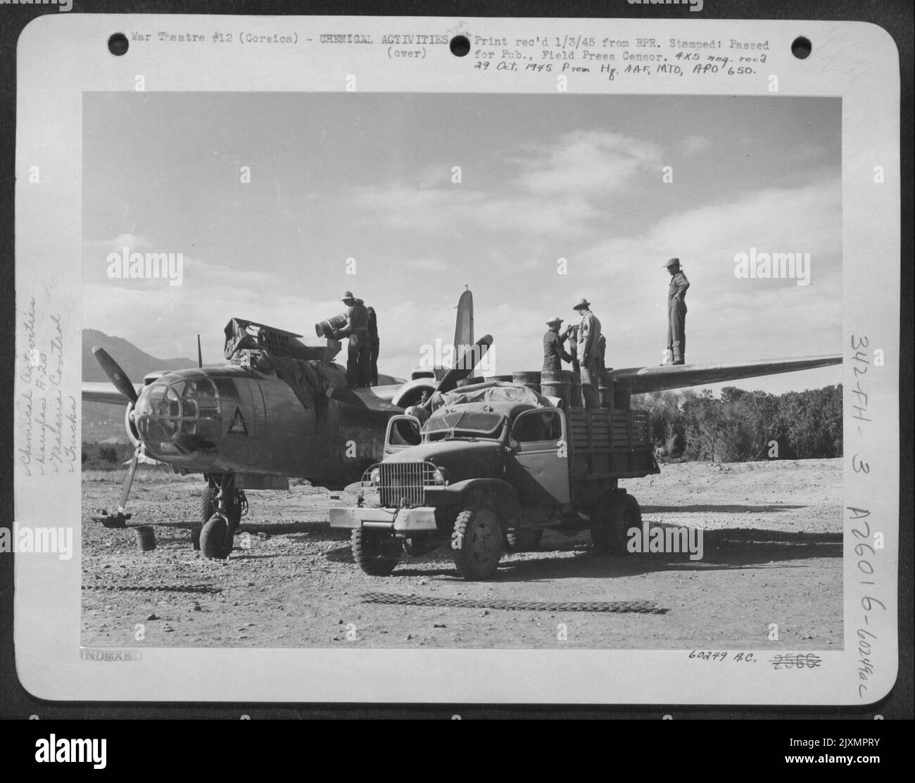 Insect warfare hi-res stock photography and images - Alamy