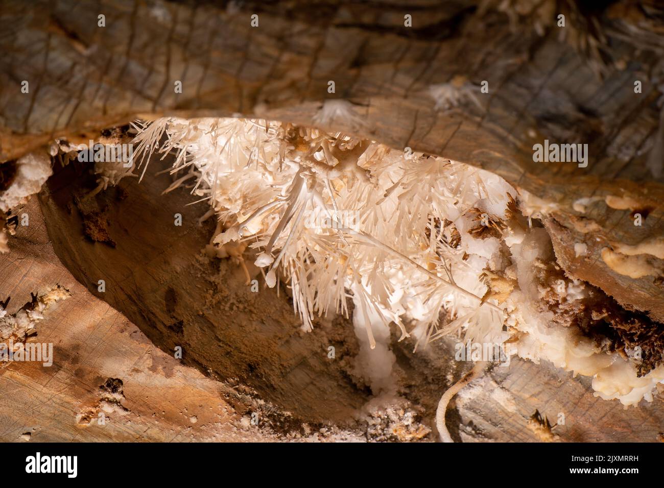 Ochtinska aragonite hi-res stock photography and images - Alamy