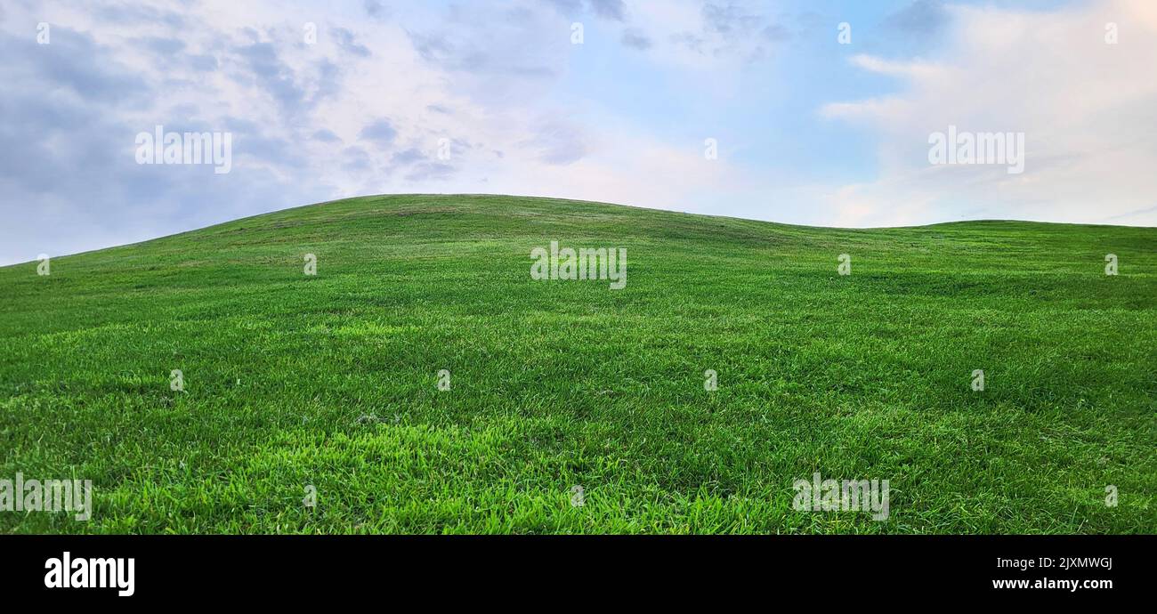 Beautiful field and sky. Clean photo. Сlear horizon. Screensaver ...
