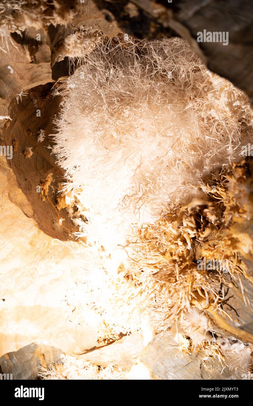 Ochtinska Aragonite Cave, Slovakia Stock Photo - Alamy