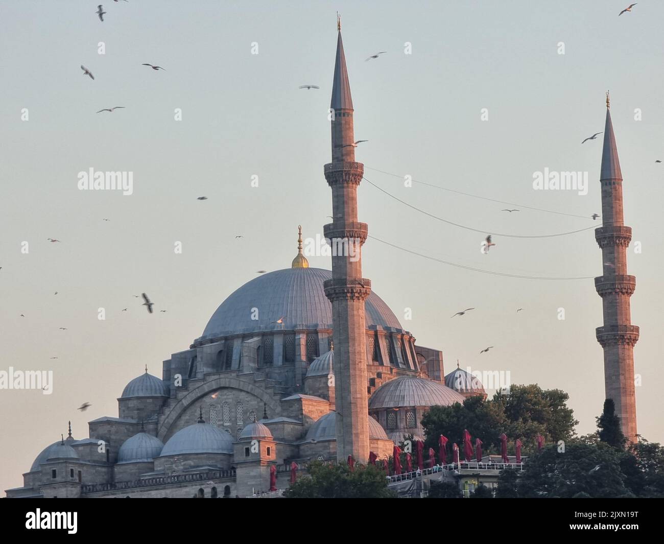 Birds flying around dome hi-res stock photography and images - Alamy