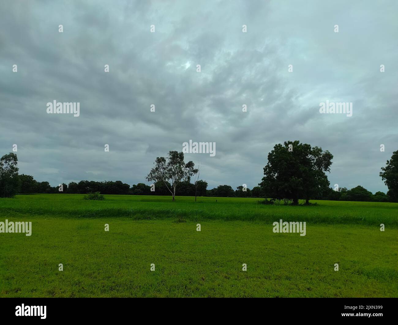 A Beautiful Shot Of Indian Village Farm Nature Beauty Background HD ...