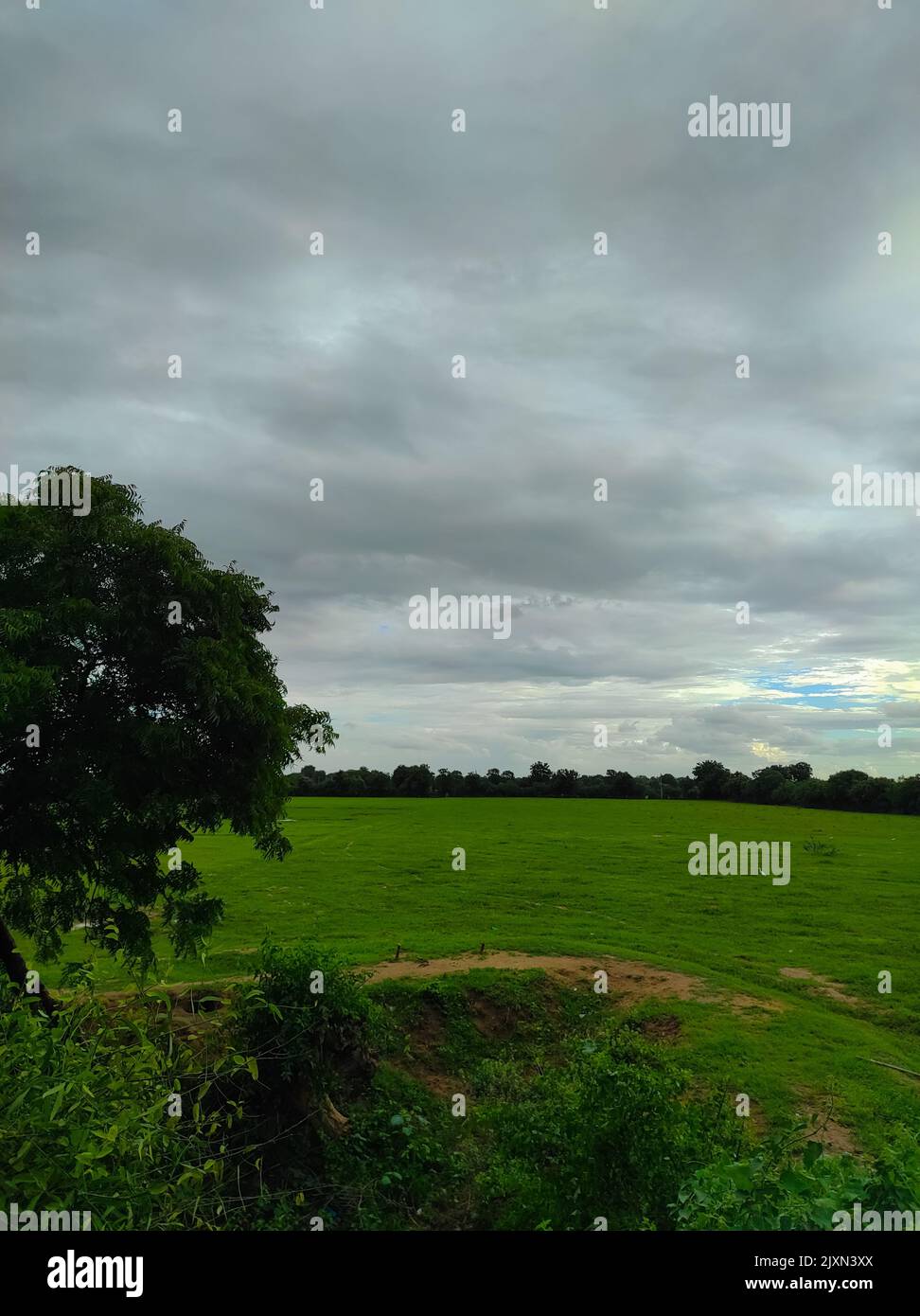 A Beautiful Shot Of Indian Village Farm Nature Beauty Background HD ...