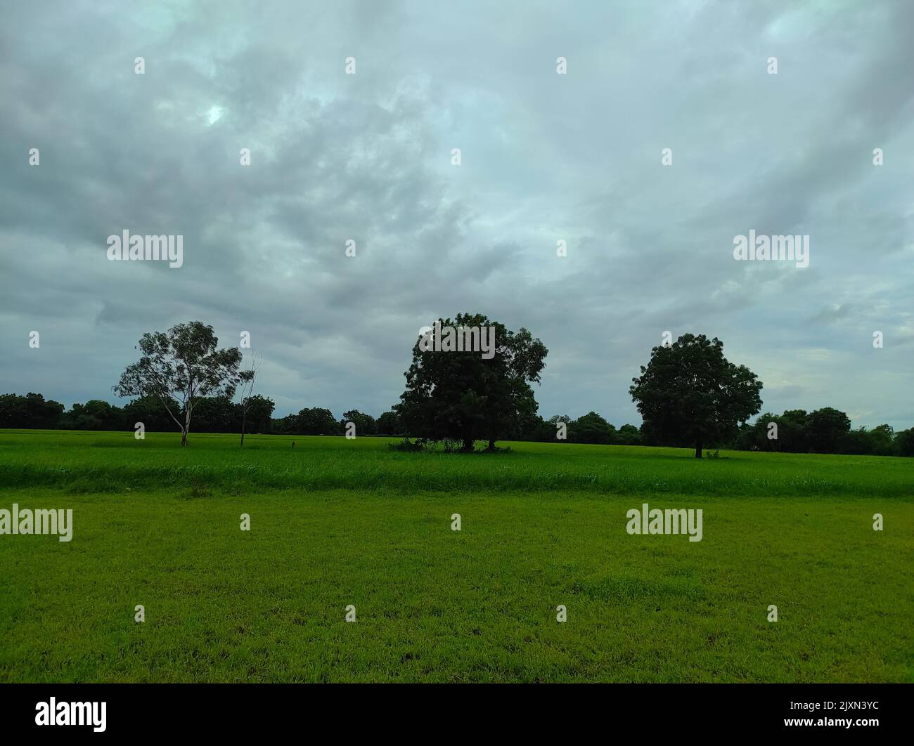 A Beautiful Shot Of Indian Village Farm Nature Beauty Background HD ...