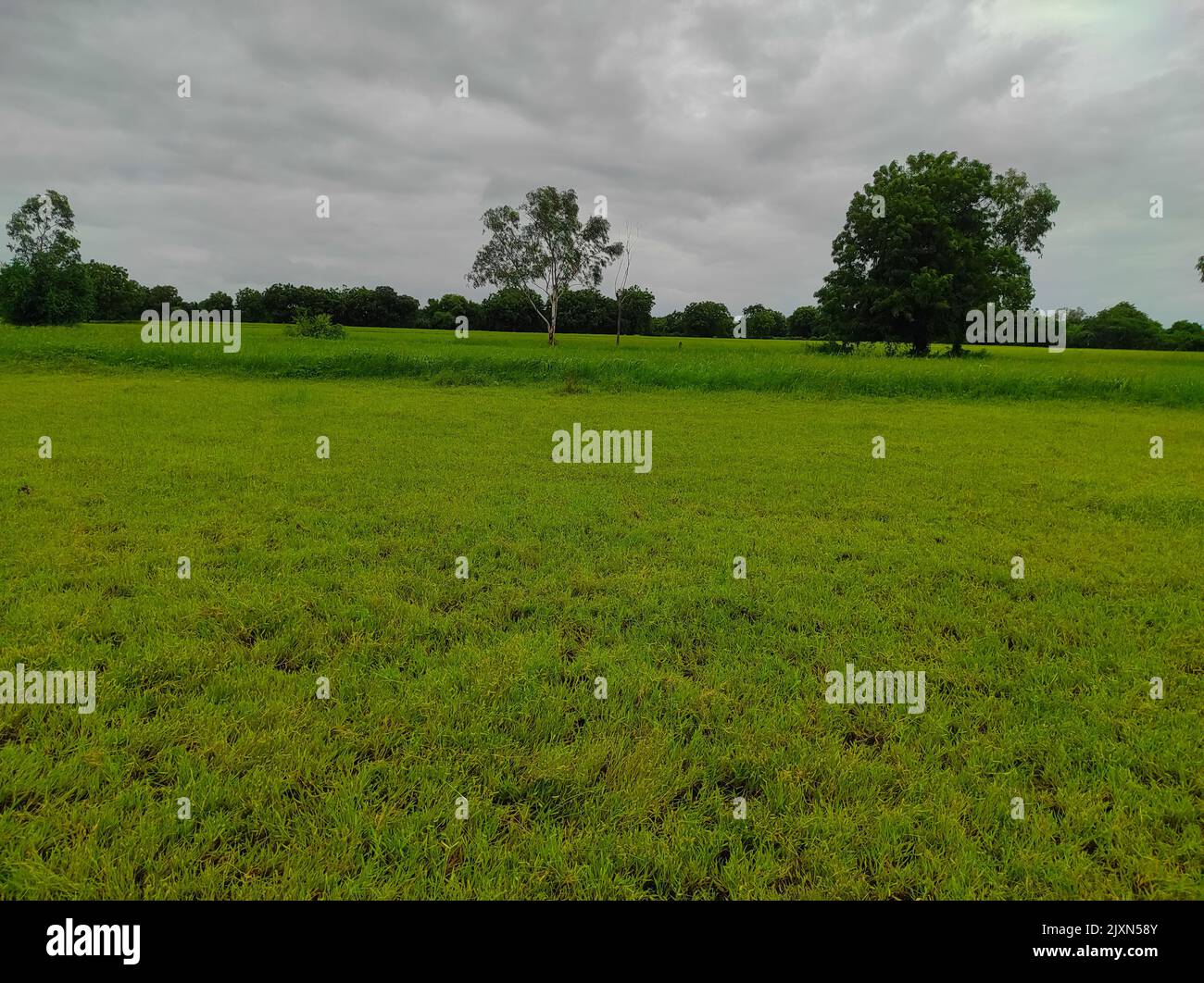 A Beautiful Shot Of Indian Village Farm Nature Beauty Background HD ...