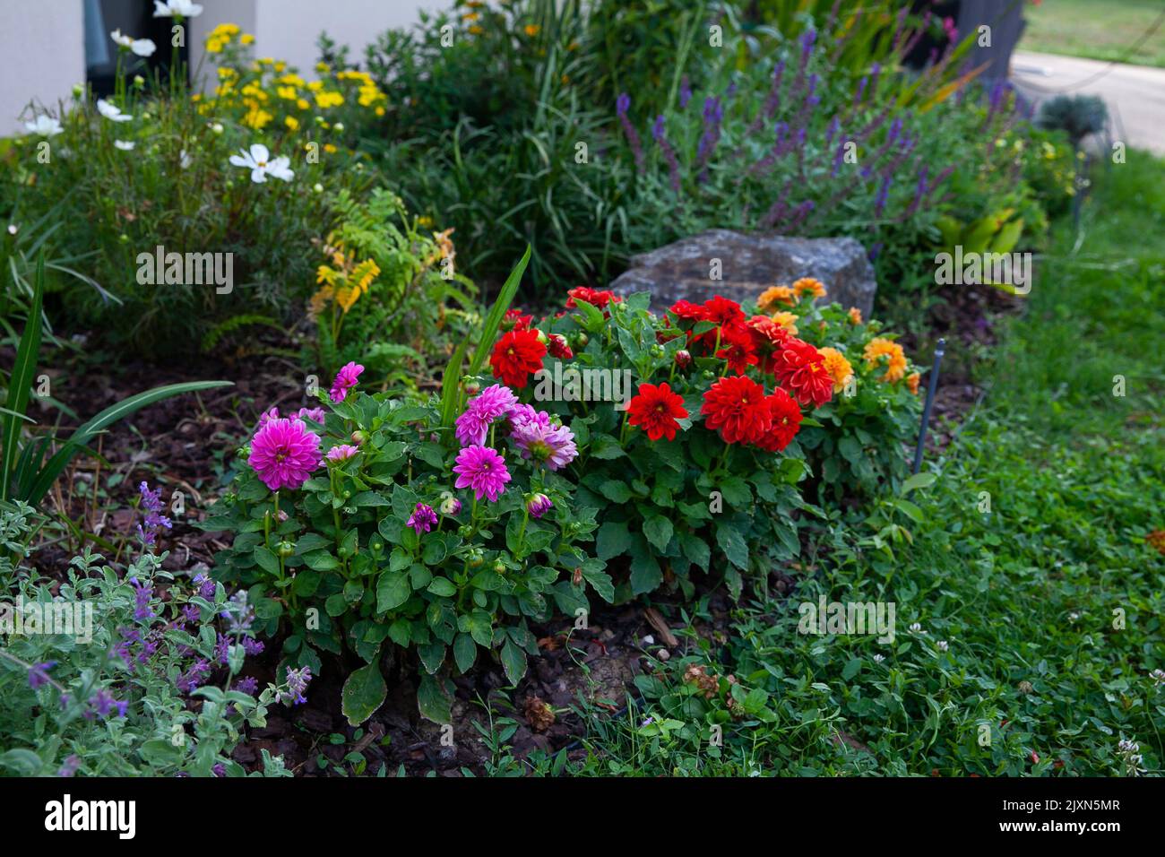 Floral color borders hi-res stock photography and images - Alamy