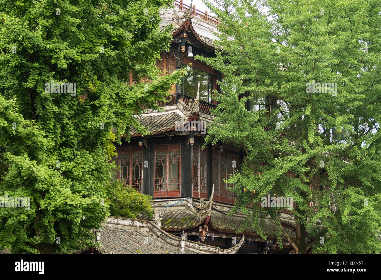 An old building in the forest in Dujiangyan Scenic Spot in Chengdu ...
