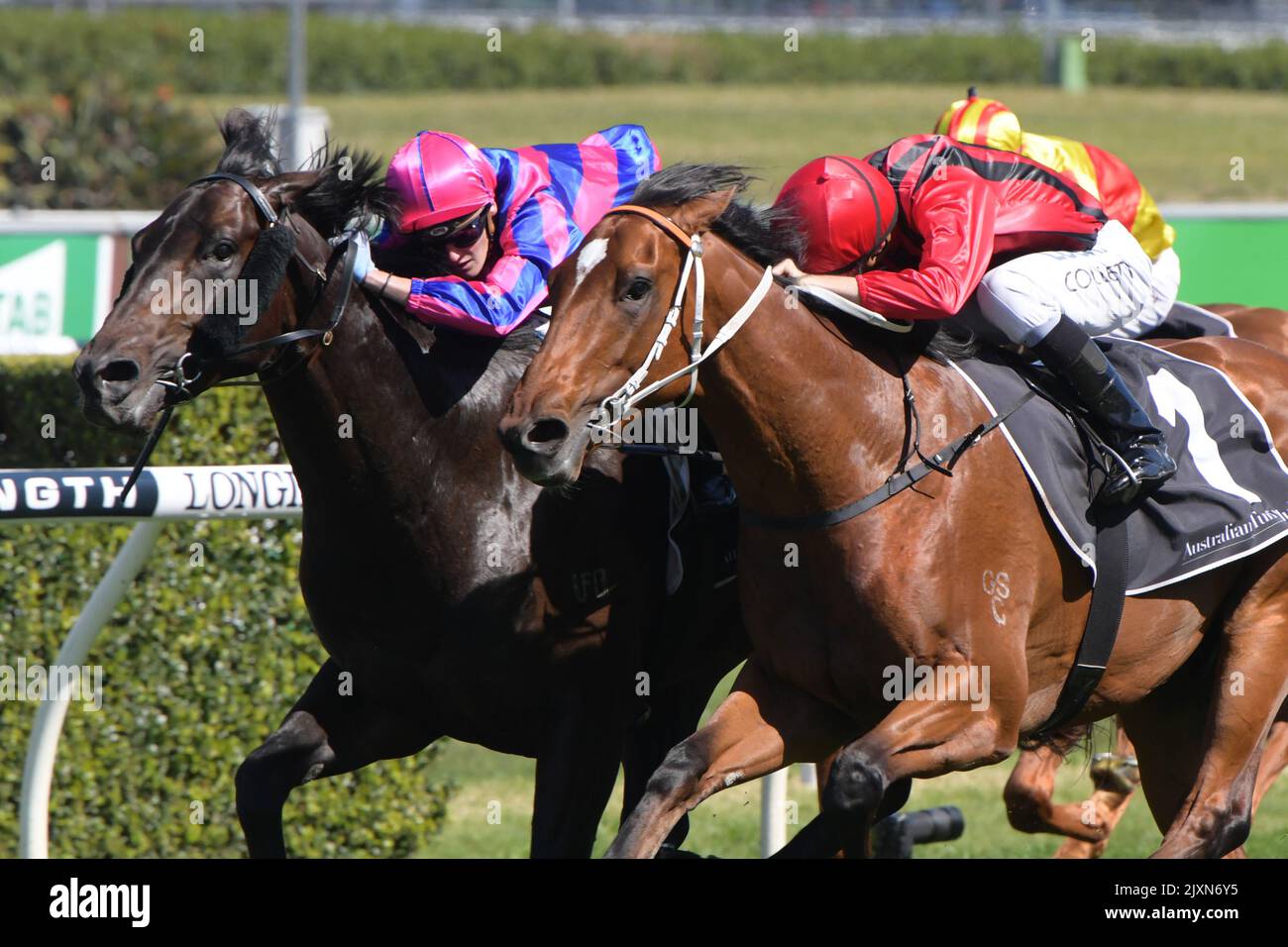 Jockey Regan Bayliss rides Mickey Blue Eyes to victory in race 3, the ...