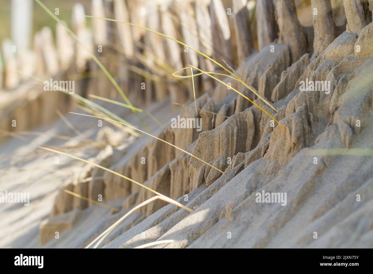 Detail of seawall, revetment, of a sand on a beach with the sand having ...