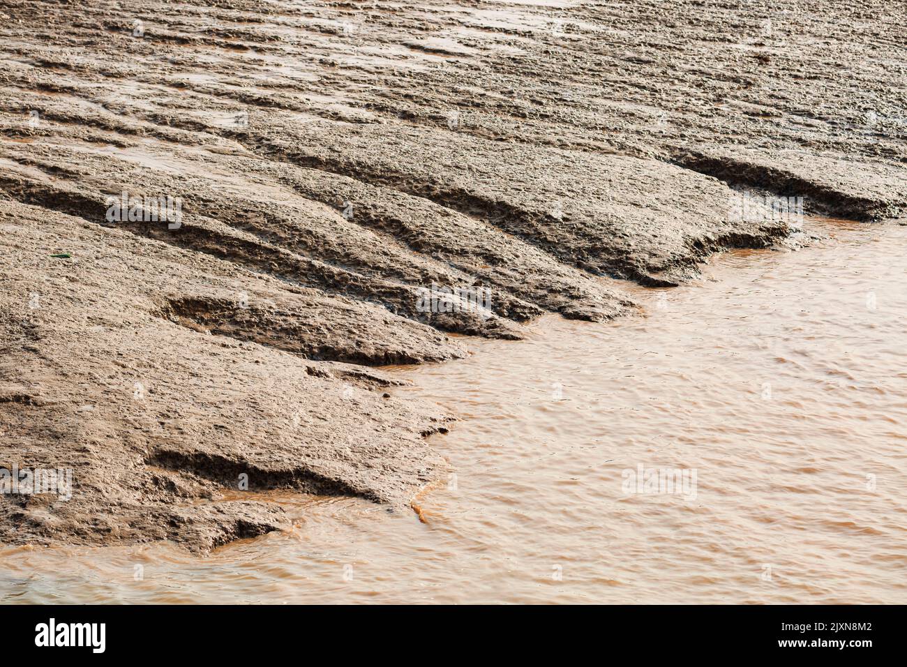 A wet beach sand texture in a grey-brown color Stock Photo - Alamy