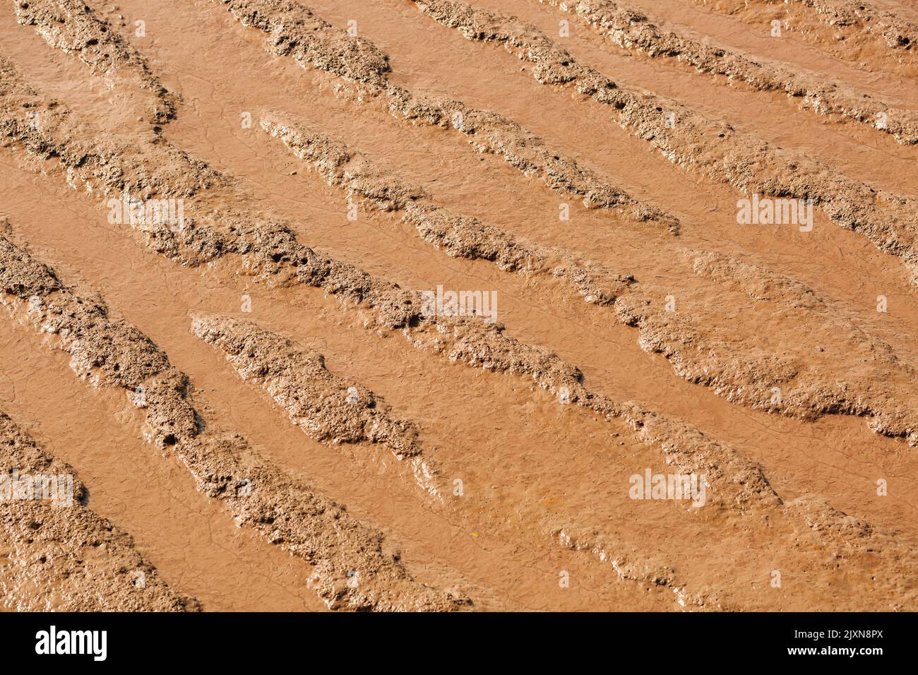 A wet beach sand texture in a brown color Stock Photo - Alamy