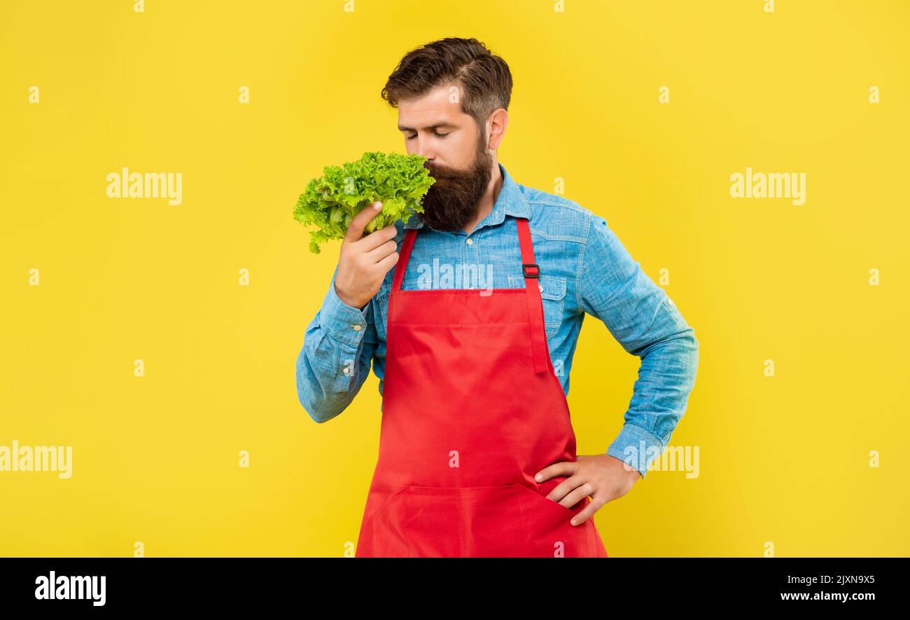 Man in apron smelling fresh leaf lettuce yellow background, greengrocer ...