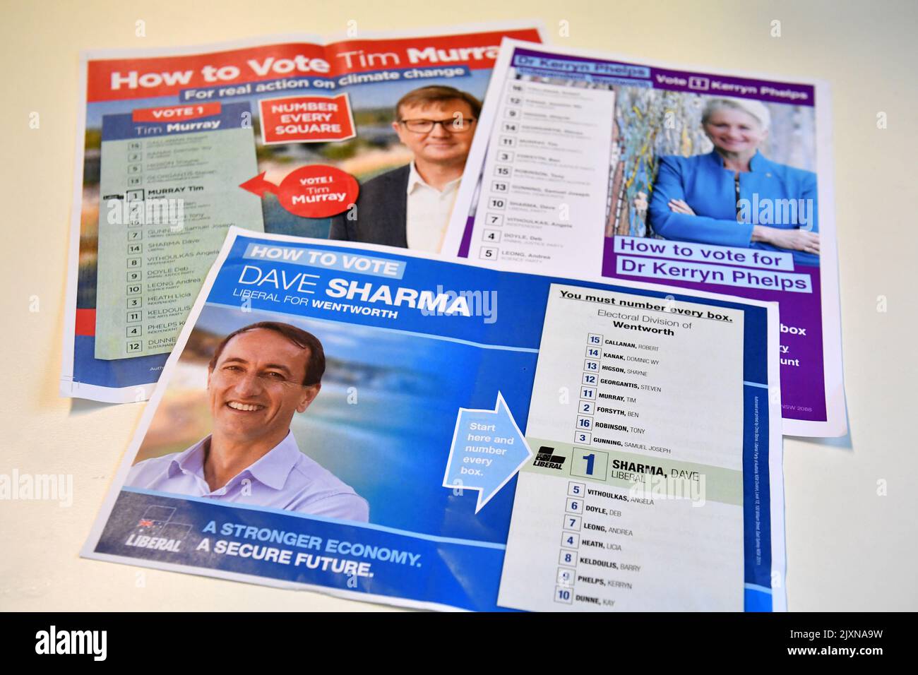 Wentworth by-election how-to-vote pamphlets are seen in Sydney, Tuesday ...