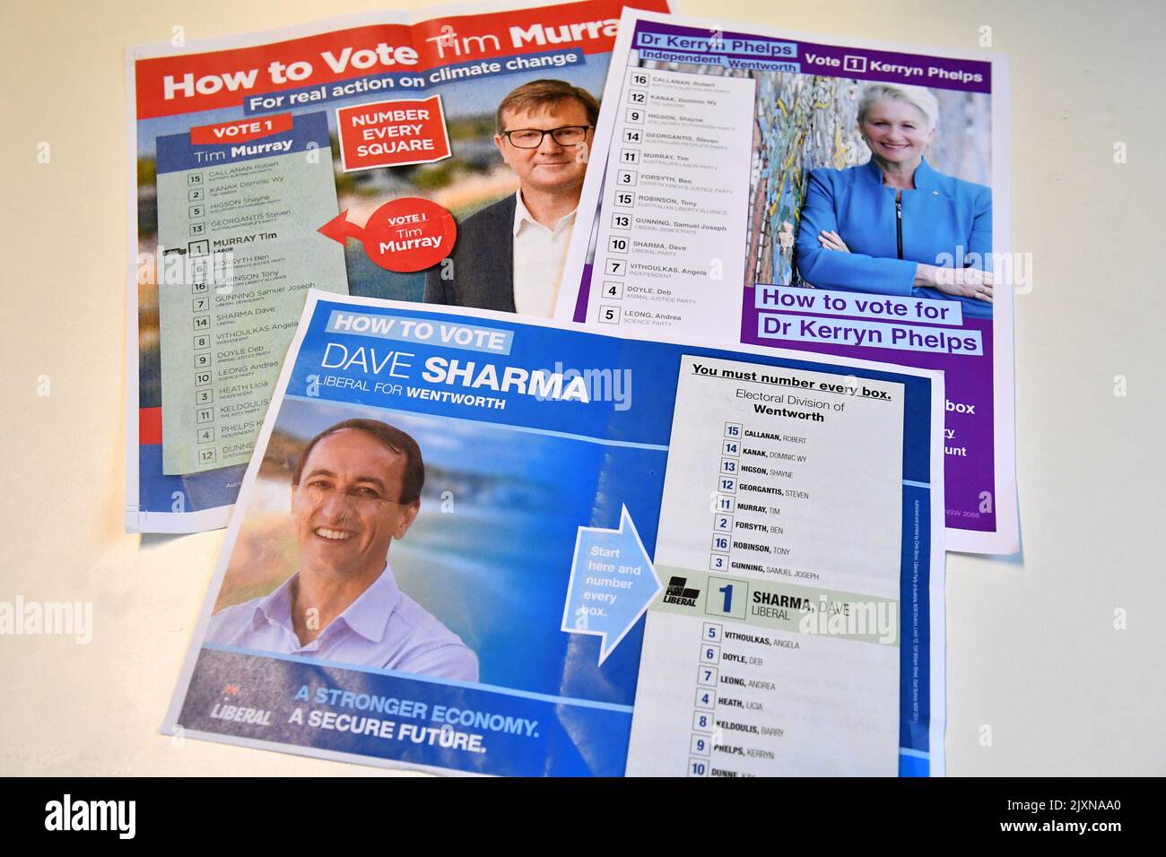 Wentworth by-election how-to-vote pamphlets are seen in Sydney, Tuesday ...