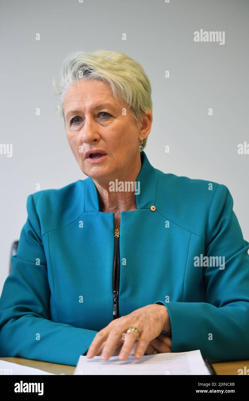 Independent candidate for Wentworth Kerryn Phelps speaks to Australian ...