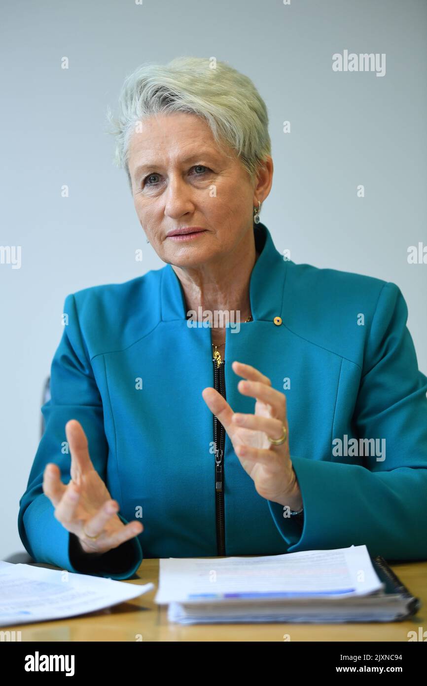 Independent candidate for Wentworth Kerryn Phelps speaks to Australian ...