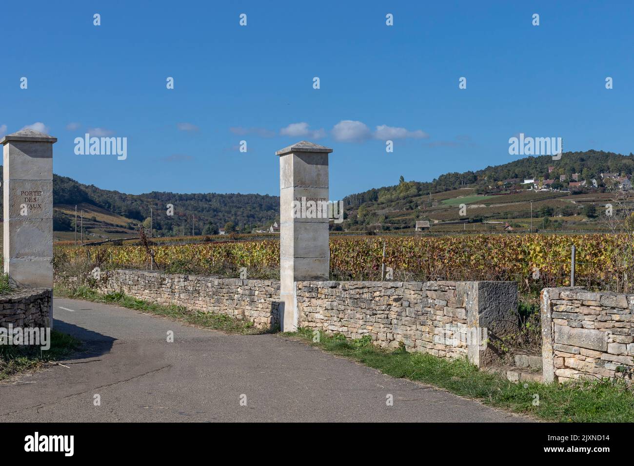 The vineyards of burgundy in the Autumn Stock Photo - Alamy