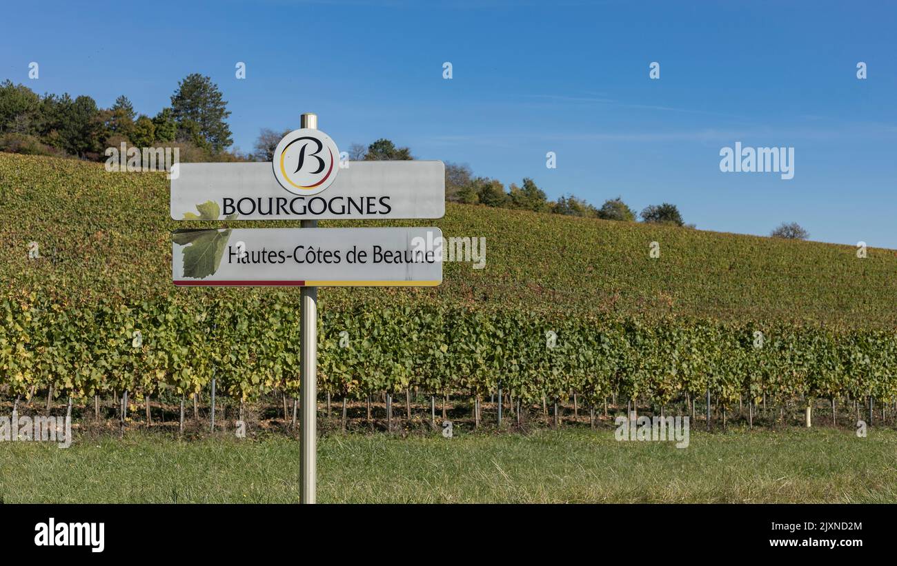 The vineyards of burgundy in the Autumn Stock Photo - Alamy