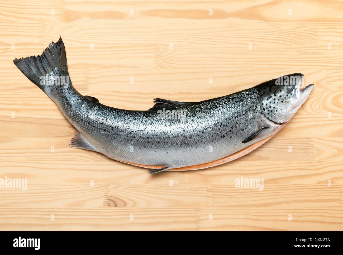 Gutted salmon carcass lies on wooden board for cutting fish. carcass of ...