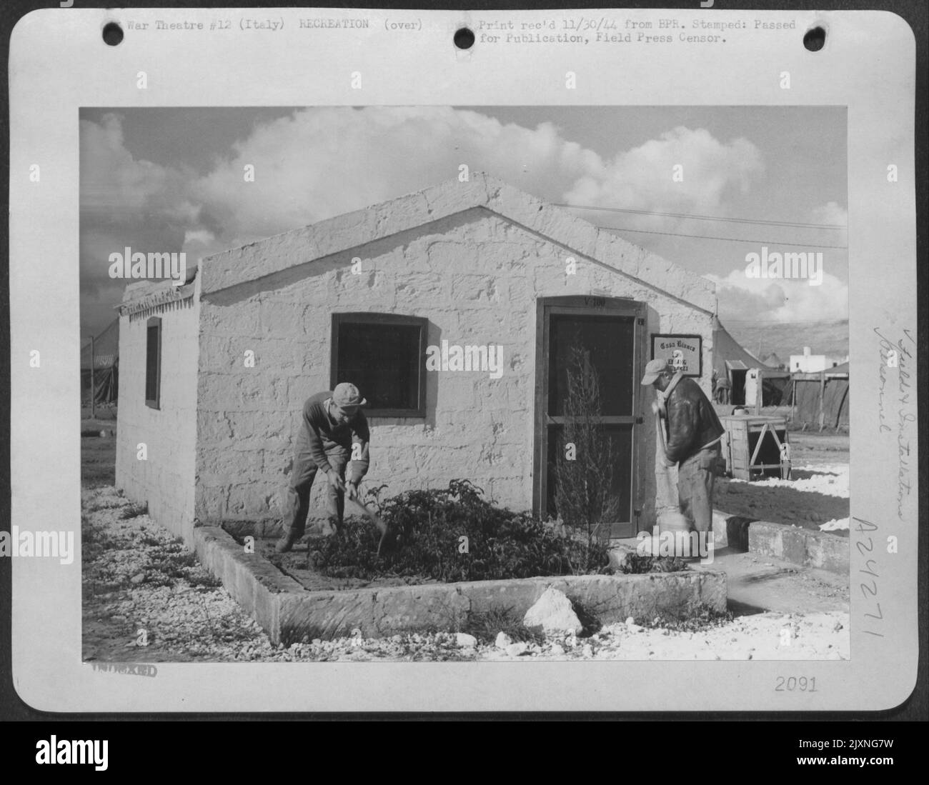 Specialist tomatoes Black and White Stock Photos & Images - Alamy