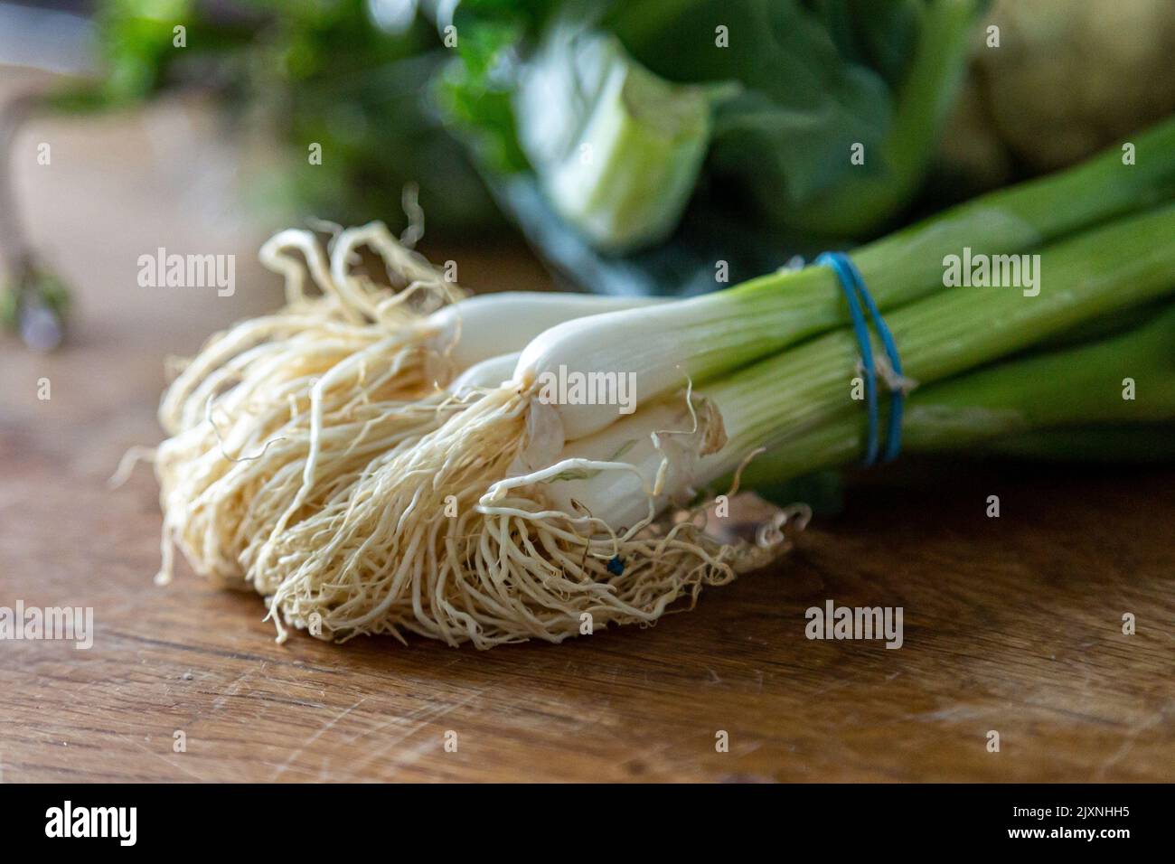 A bunch of spring onions on a chopping board, with a shallow depth of ...