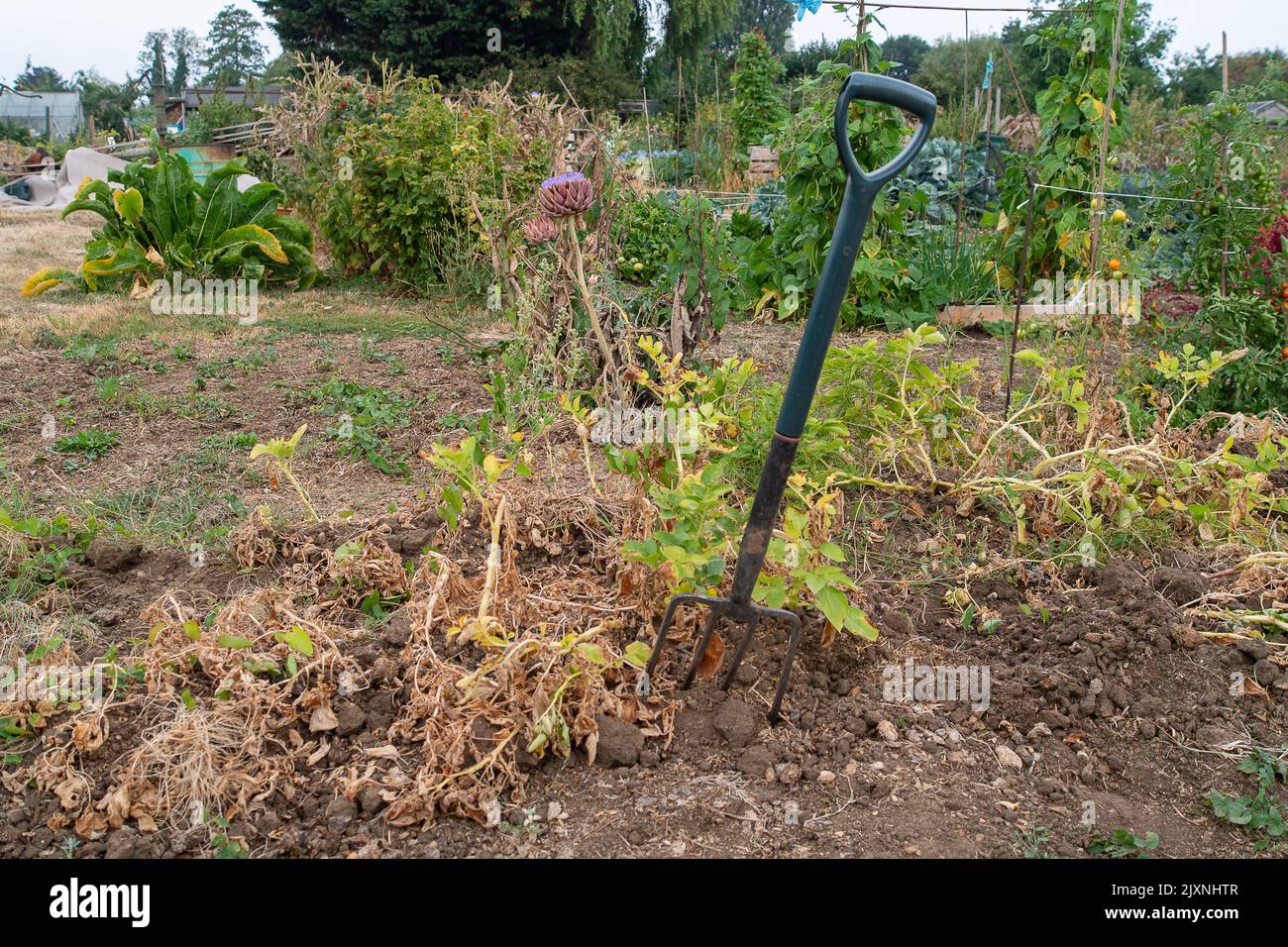 Drought precautions hi-res stock photography and images - Alamy