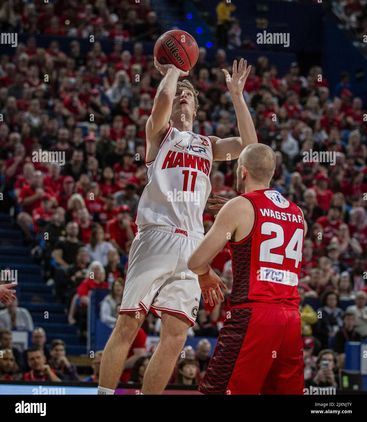 Daniel Grida of the Illawarra Hawks during the Round 1 NBL match ...