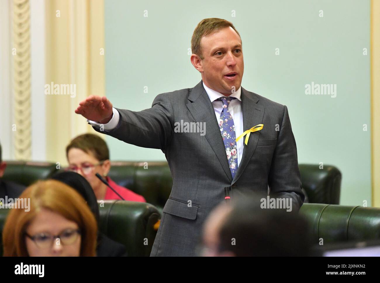 Queensland Minister for Health and Minister for Ambulance Services ...