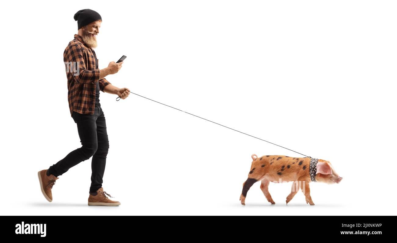 Full length profile shot of a bearded guy using a smartphone and ...