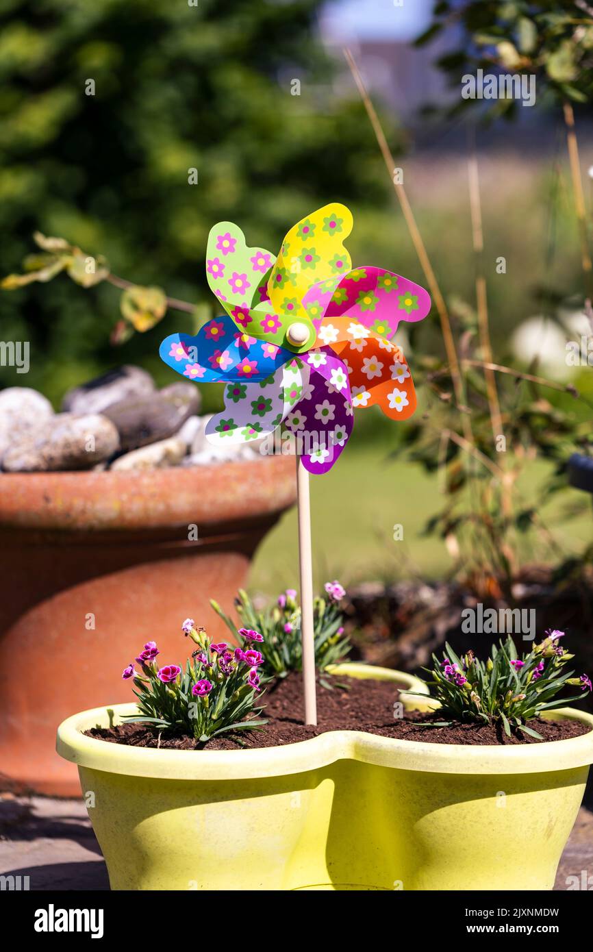 A vertical of a colorful pinwheel in a yellow flower pot in the garden ...