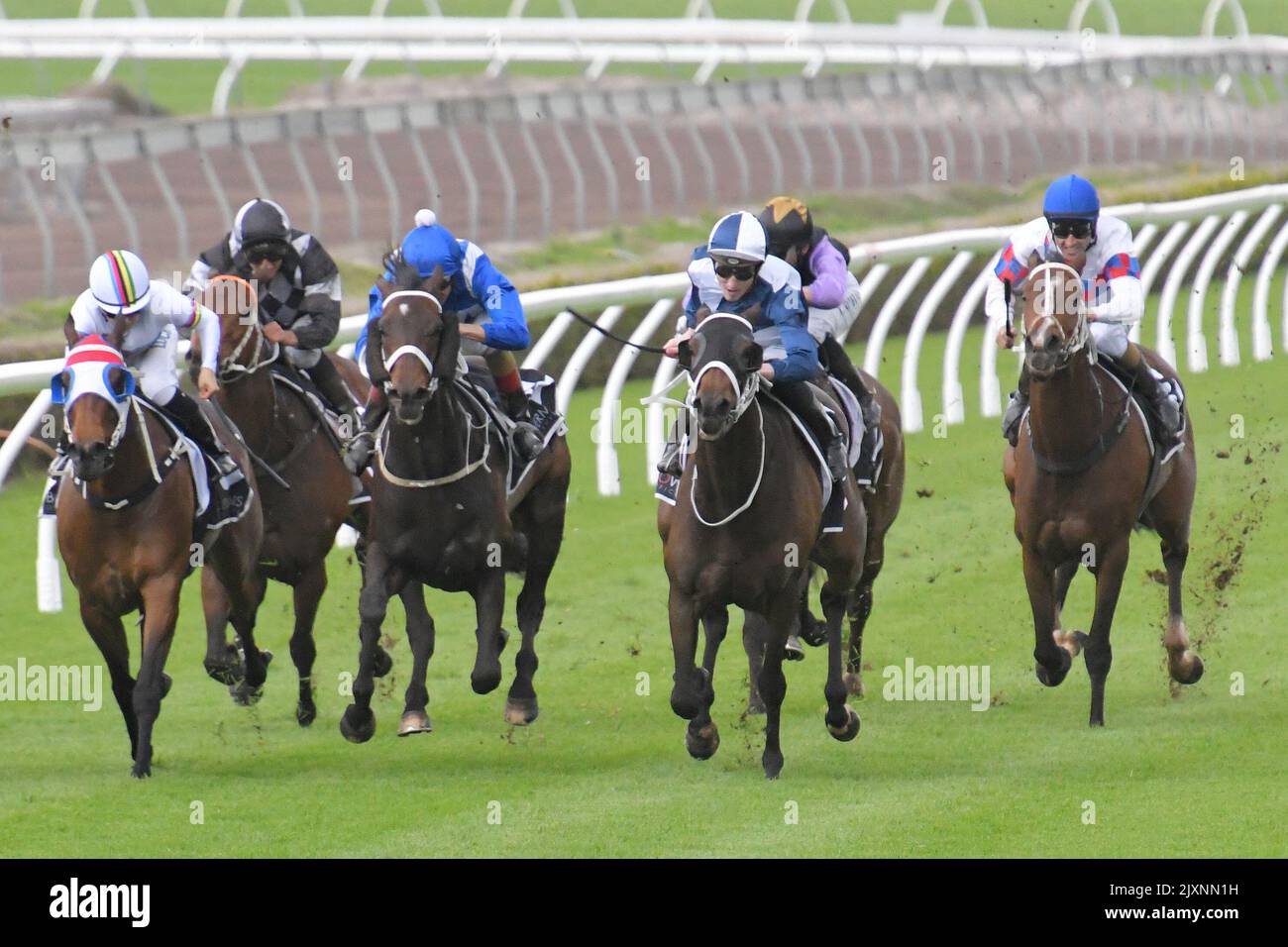 Jockey, Sam Weatherley rides Savacool to victory in race 3, the ...