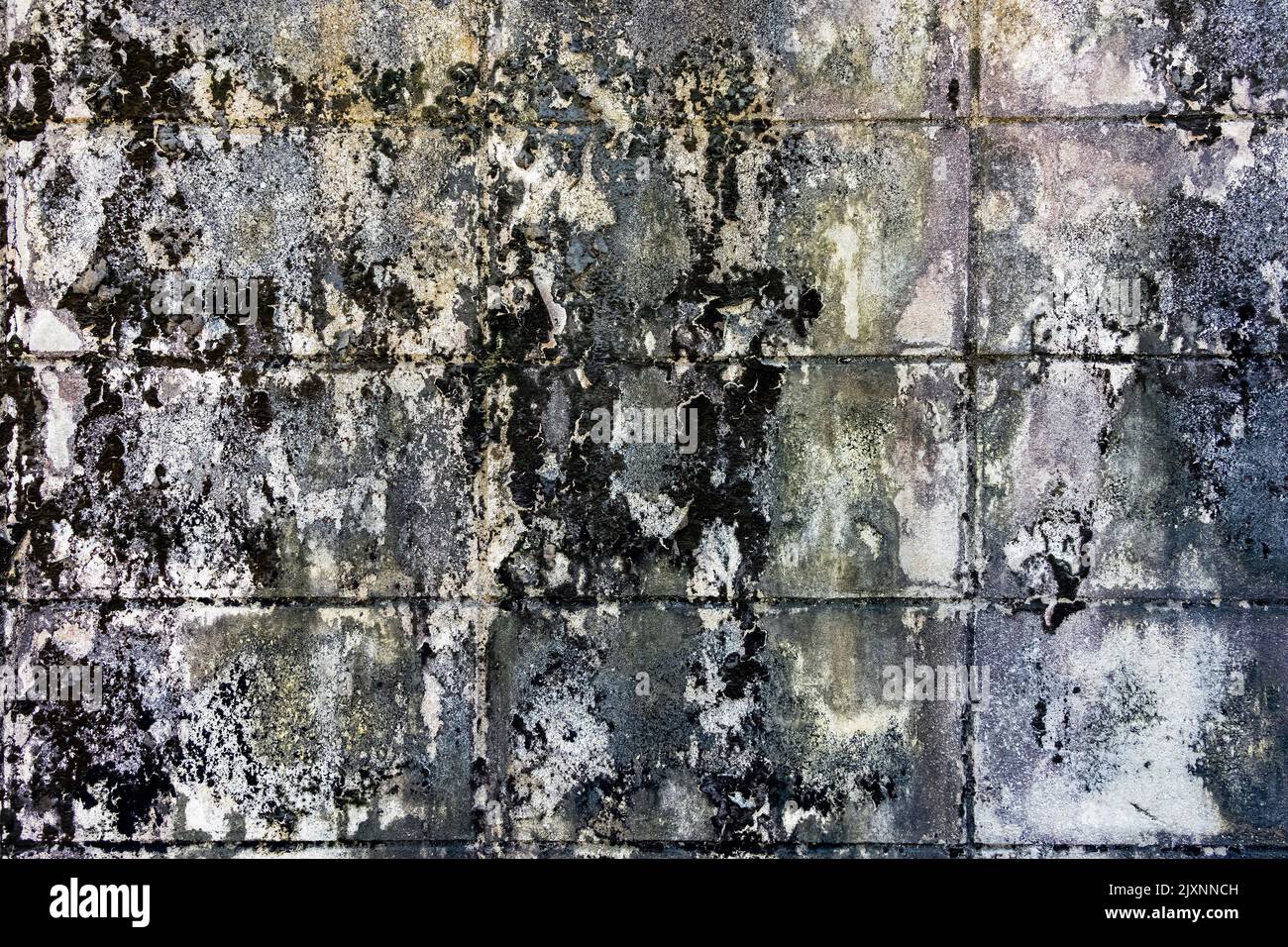 Dirty old eroded cracked plaster cement block fence. Concrete block ...