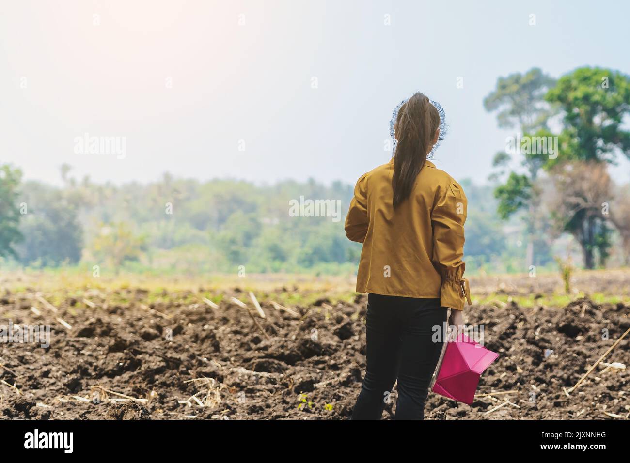 Back view of Asian young woman farmer stand alone with tablet to look ...