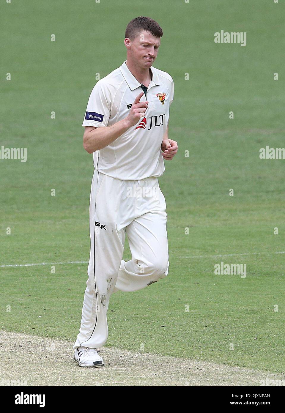 Jackson Bird of the Tigers celebrates taking a wicket during day three ...