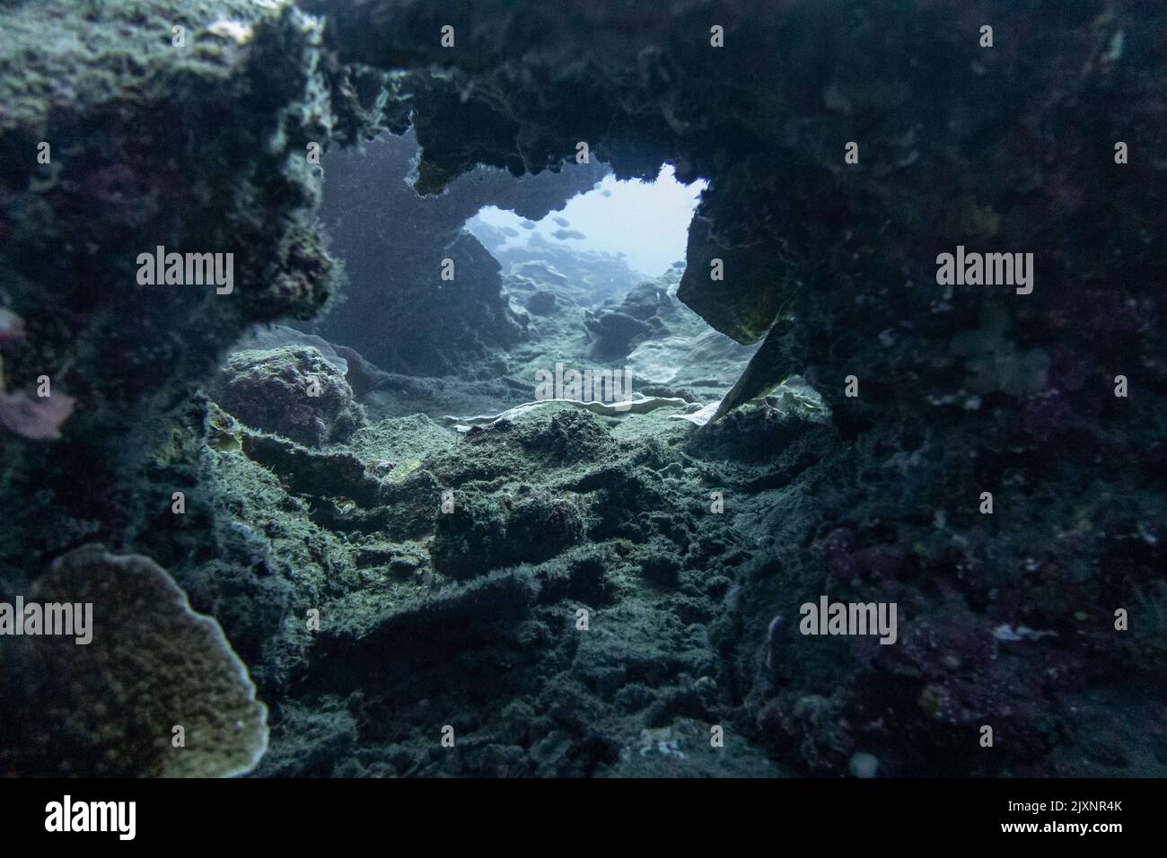 The mesmerizing view of an underwater cave in Tahiti Stock Photo - Alamy