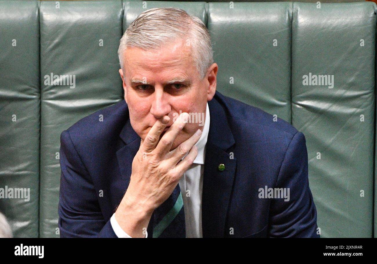 Deputy Prime Minister Michael McCormack during Question Time in the ...