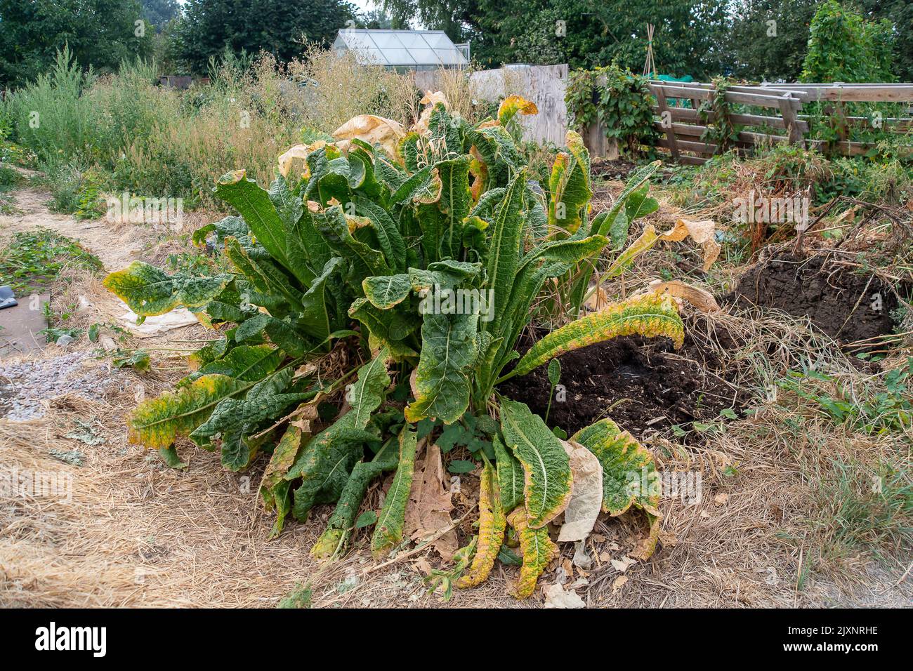 Drought precautions hi-res stock photography and images - Alamy
