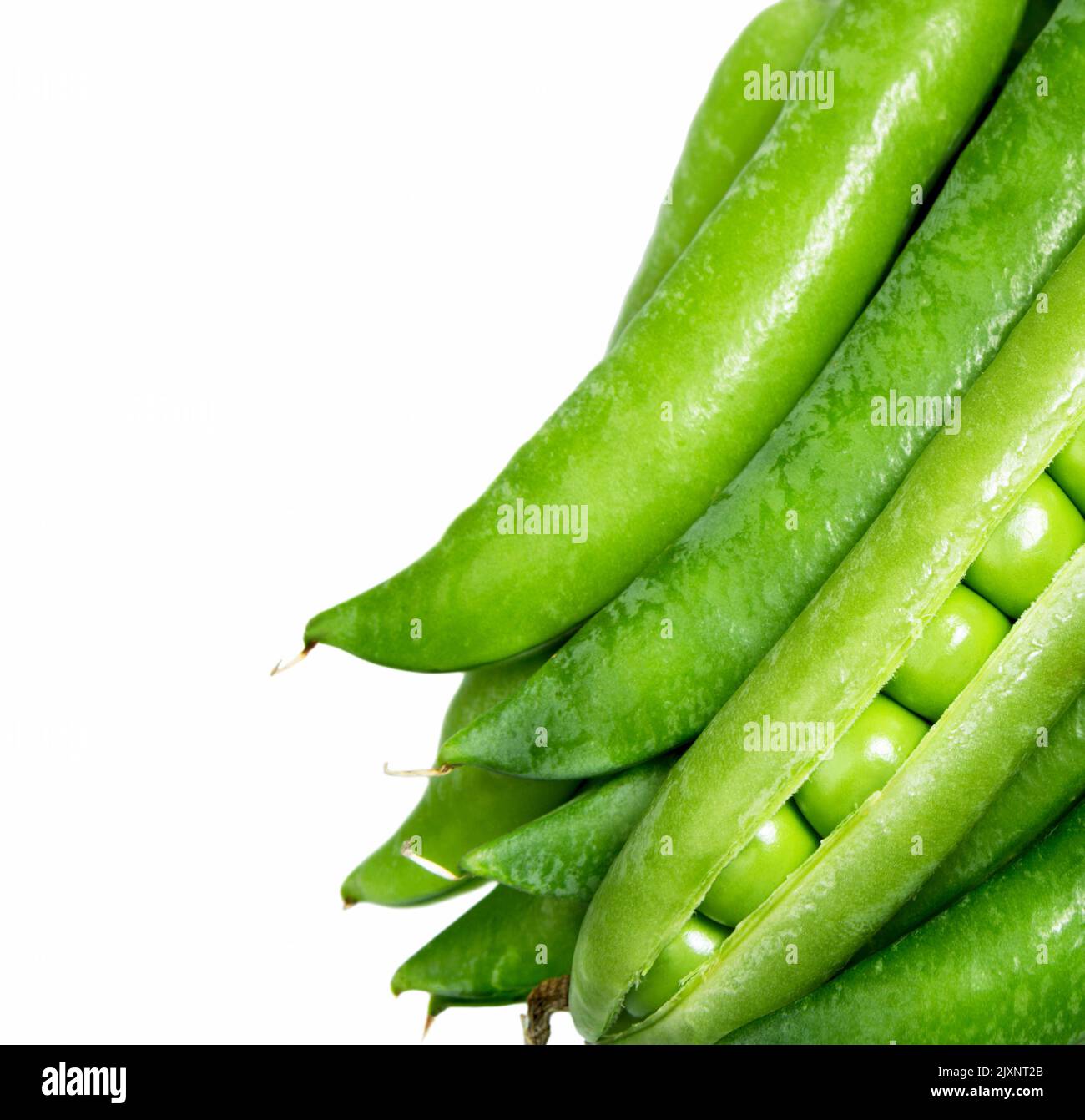 Fresh green peas isolated on white background. Pile of green wet pea ...