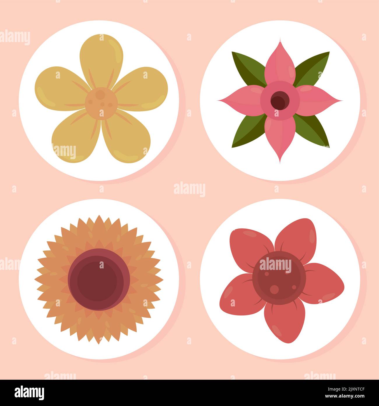 flowers bloom icons Stock Vector Image & Art - Alamy
