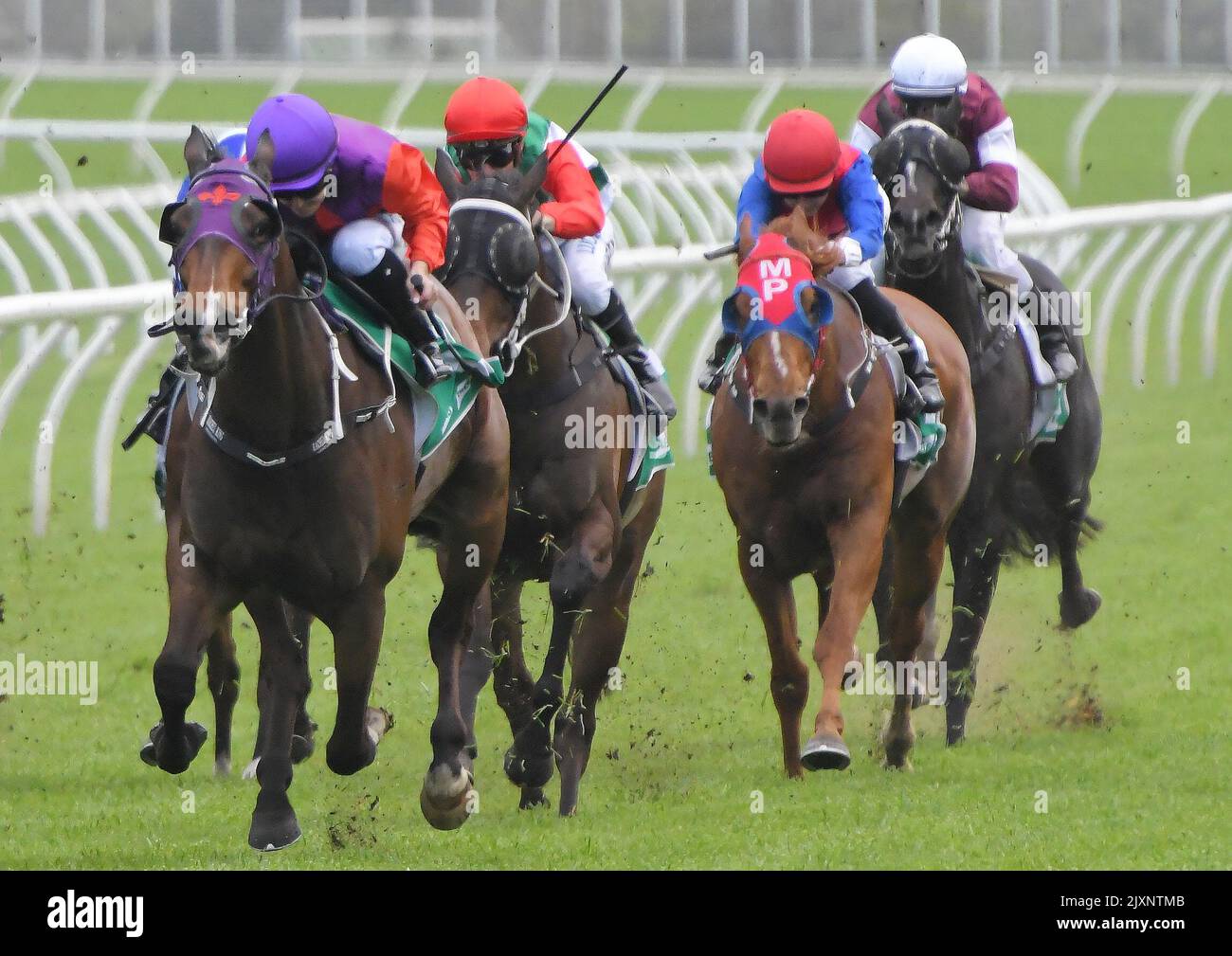 Jockey Rachel King rides The Lion to victory in race 3, the TAB Highway ...
