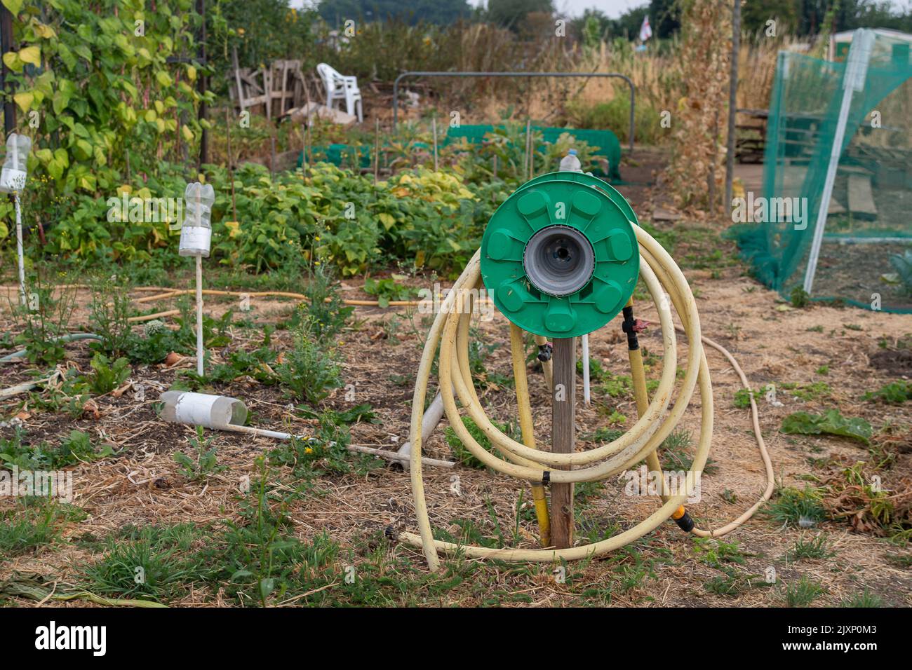 Watering hose garden veg uk hi-res stock photography and images - Alamy