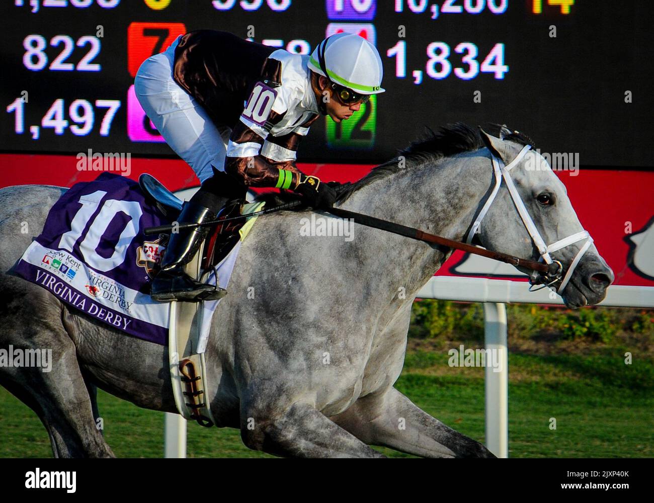 September 6, 2022, New Kent, Virginia, USA: September 6, 2022: Capensis ...