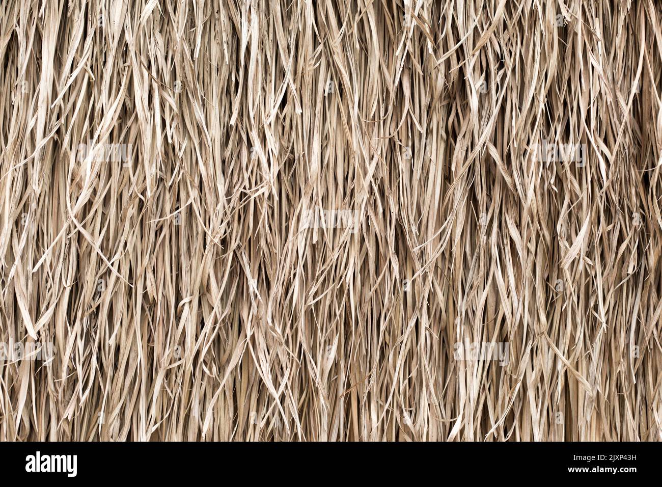 Straw texture. Tropic roof summer background Stock Photo - Alamy