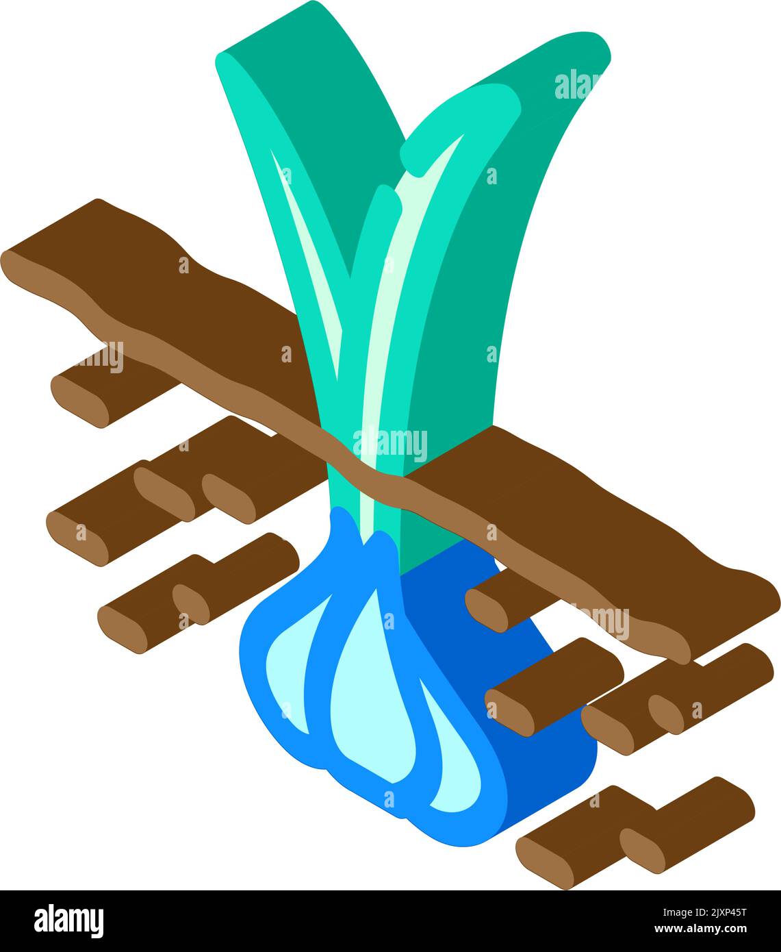 garlic plant vegetable garden isometric icon vector illustration Stock ...
