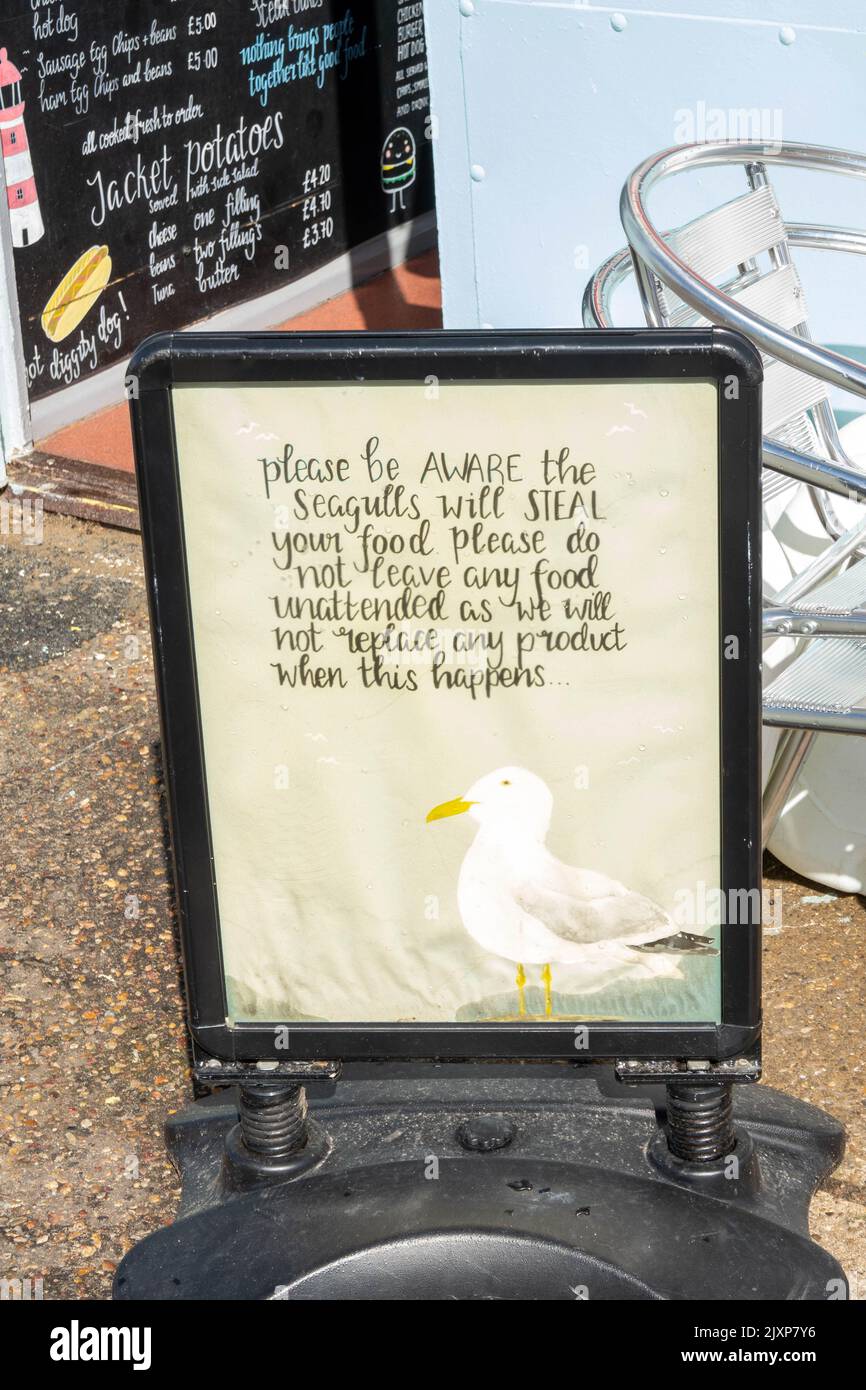 Seagulls stealing food hi-res stock photography and images - Alamy