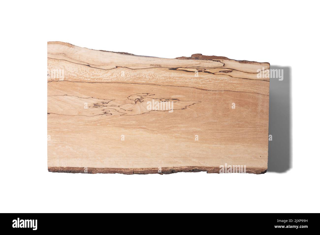 log stump log on white background Stock Photo - Alamy