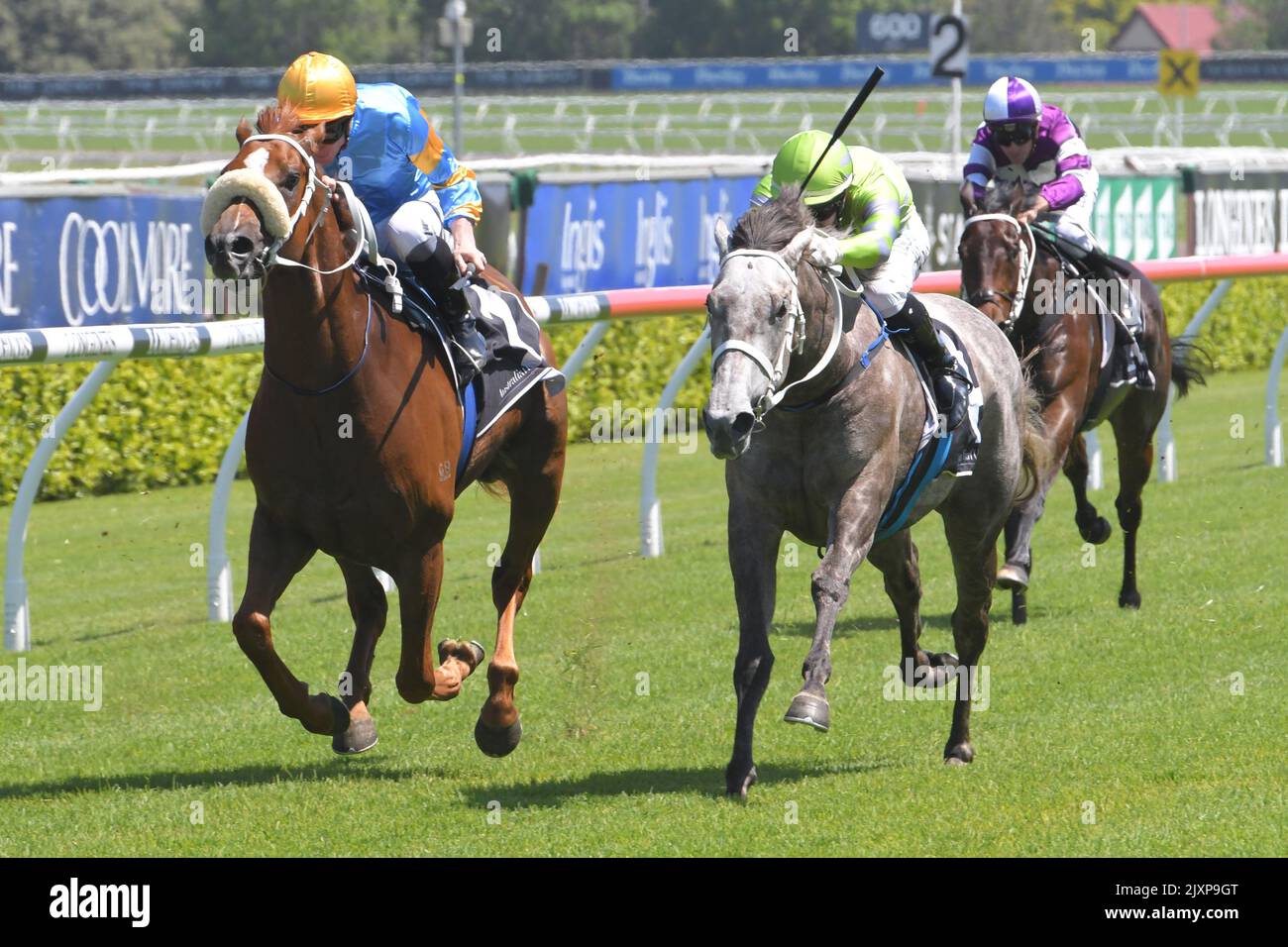 Jockey Brenton Avdulla rides Romani Girl to victory in race 1, the # ...